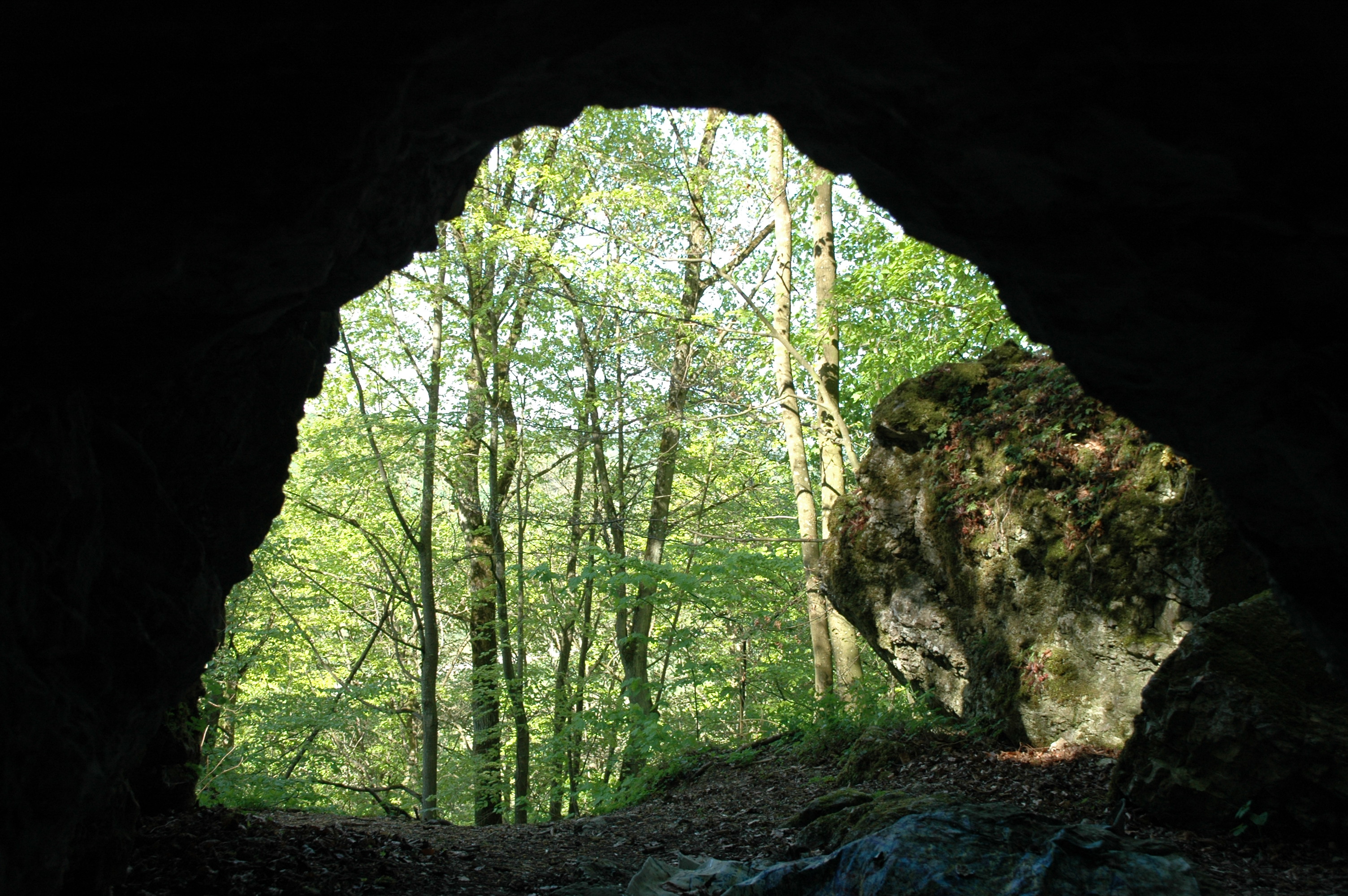 Höhle „Hanseles Hohl“ auf dem Michelsberg bei Fronhofen - Geopark Ries