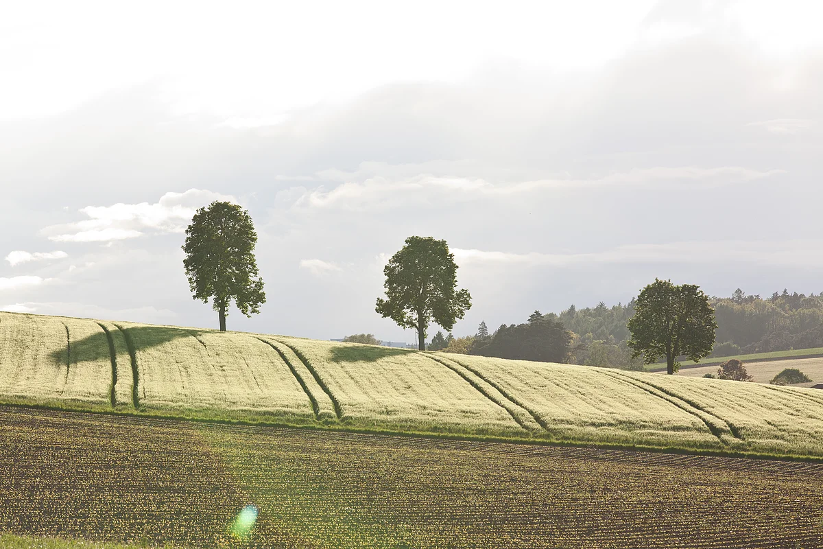 Aktuelle Meldungen - Geopark Ries